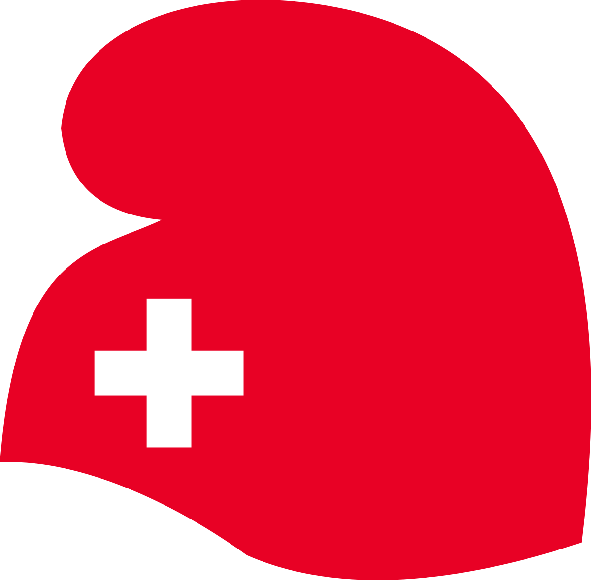Swiss Party of Labour - ProleWiki