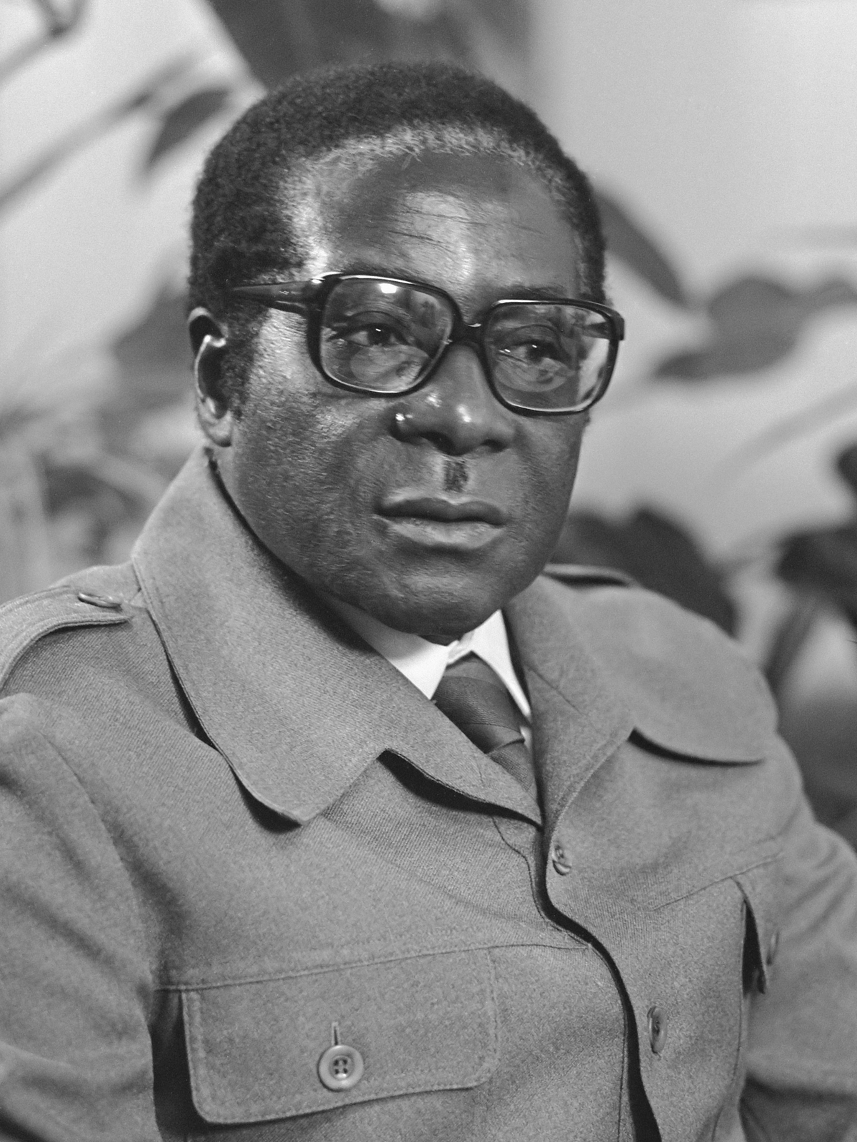 Robert Mugabe - ProleWiki